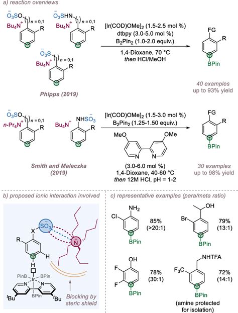 Simultaneous Reports Demonstrated Para Selective Borylation Of Common