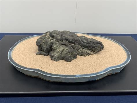 日本水石協会 展覧会レポート 第8回日本の水石展