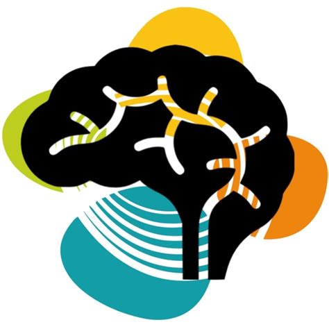 Interactive Brain Activation For Fmri Data For Pc Windows 7 8 10 11