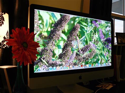 Is Your Mac Running Slow Installing More RAM The Stonybrook House