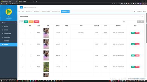基于微信小程序的短视频系统（springboot） 文档 微信小程序视频管理系统 csdn博客