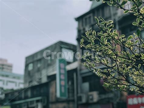 풍경 배경화면 백그라운드 하늘 구름 사진 이미지 일러스트 캘리그라피 밀리씨작가