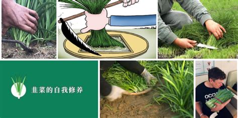 最专业最对口的仿牌一体化解决方案 仿牌建站仿牌收款仿牌独立站仿牌外贸ab站跳转贝宝轮询斗篷cloak轮询收款仿牌收单仿牌