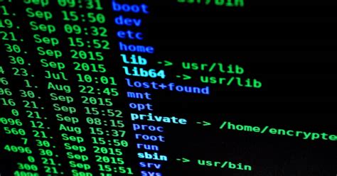 Zsh Vs Bash Scripting Whats The Difference