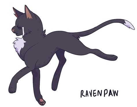 Ravenpaw  By Koratah On Deviantart