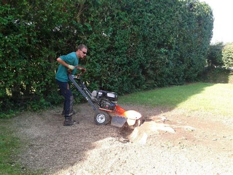 Tree Stump Removal Dynevor Trees