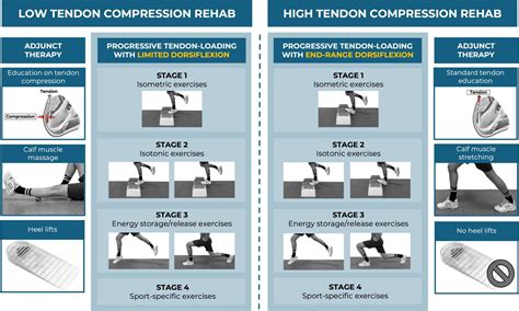 Effectiveness Of Reducing Tendon Compression In The Rehabilitation Of