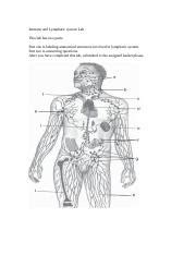 Immune SystemLab Doc Immune And Lymphatic System Lab This Lab Has Two Parts Part One Is