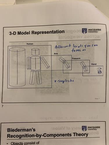 Face And Object Recognition Flashcards Quizlet