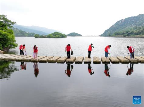 World Environment Day Observed In China Peoples Daily Online