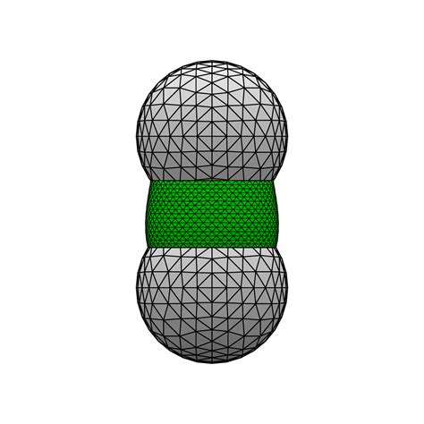 Surface Evolver Examples