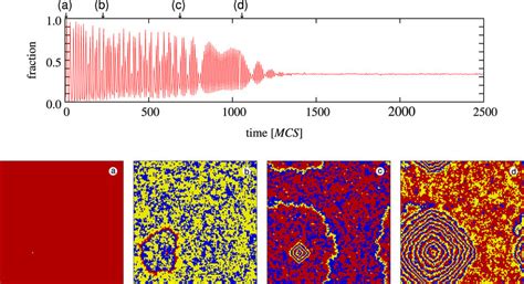 The Time Evolution Of The Density Of An Arbitrary Species Top Panel