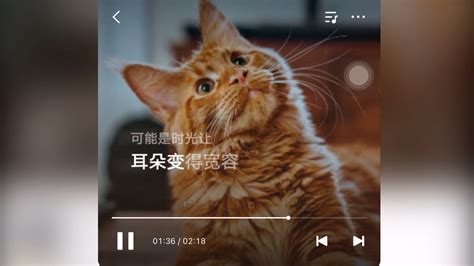 你愿意听我唱歌吗日天vlog20220427幻听哔哩哔哩bilibili