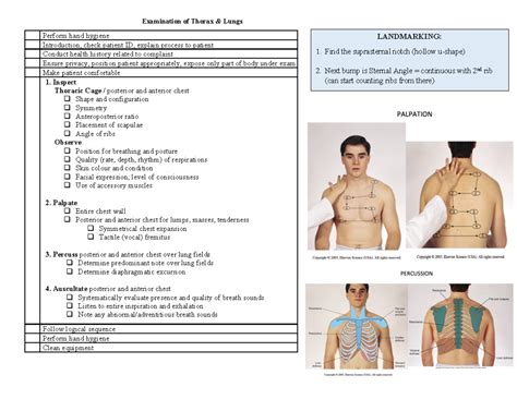 Respiratory Assessment Examination Of Thorax And Lungs Perform Hand Hygiene Introduction Check