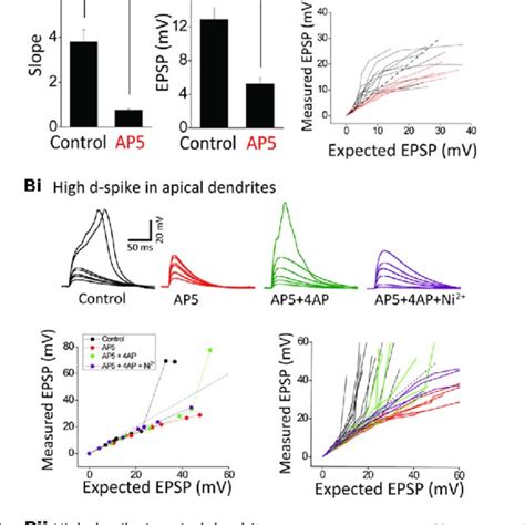 Location Dependent Two Distinct Dendritic Spikes A A Schematic Of Download Scientific