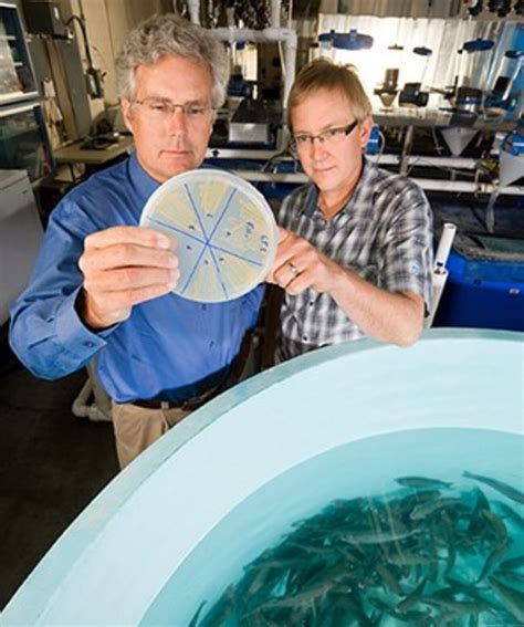 Genomics Helps To Tackle Bacterial Cold Water Disease In Rainbow Trout