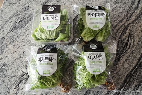 무농약 샐러드 청미채 유자청샐러드소스로 상큼하게 즐겨요 네이버 블로그