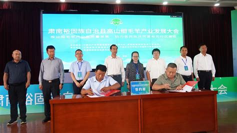 肃南裕固自治县人民政府 肃南县高山细毛羊产业发展大会召开