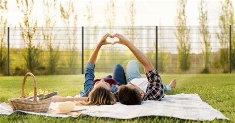 Enhancing Security And Aesthetics With Deltaview Secure Fencing In