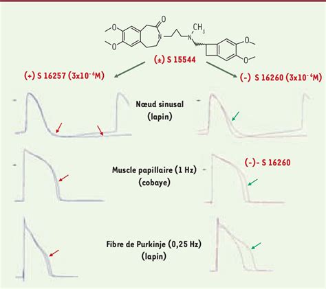 Figure 1 From La Découverte De Livabradine Procoralan® Inhibiteur Sélectif Du Courant
