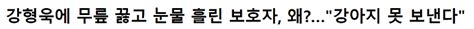 개는 훌륭하다 달마시안 오타쿠의짤질생활