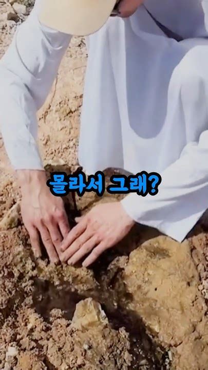 할아버지가 배추를 엎어버린 이유 Youtube