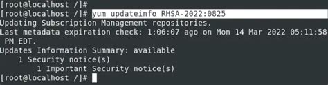 How To Check And Install Security Updates On Rhel 678 Bytexd