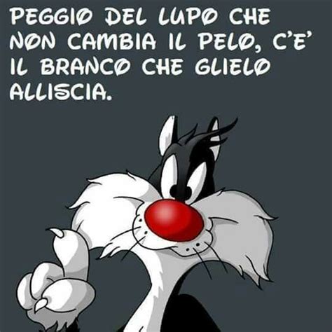 Lupo Branco Ridere Ridiamo Humor Satira Umorismo