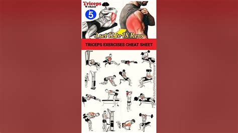 Tricep Workout Hard Workout Tricep Workout Short Videolike