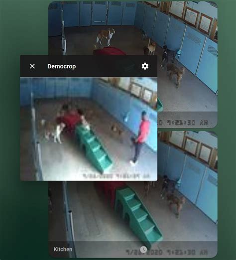 Camera Proxy Crop Not Applying To Stream · Issue 39924 · Home