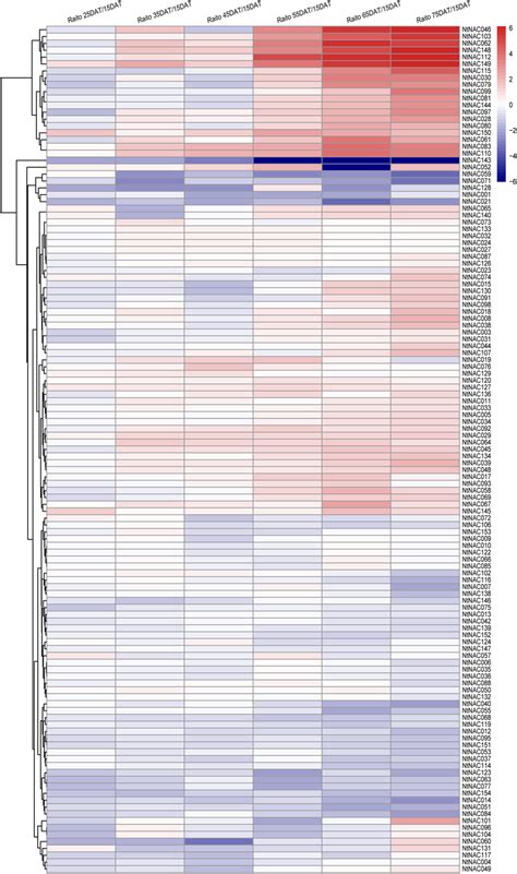 Heatmap Representation And Hierarchical Clustering Of Ntnac Genes At