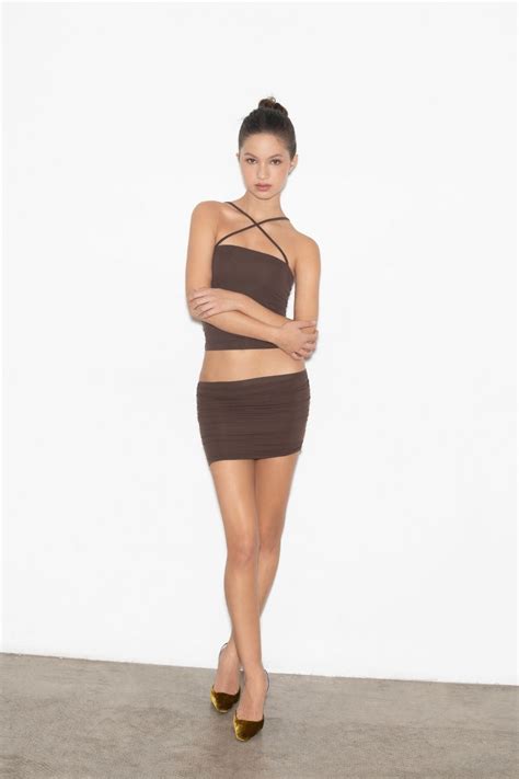 Mini Skirt Brown Cham