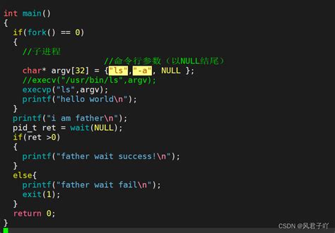 理解进程替换：execlexecvexecleexecvp和execve Csdn博客