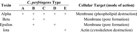 Major Toxins For C Perfringens Typing Download Table