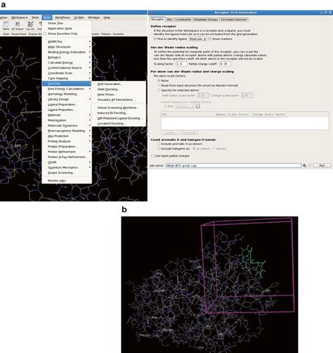 A Maestro Panels Illustrating The Receptor Grid Generation Procedure Download Scientific