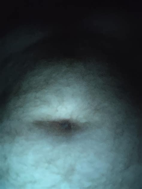 Bellybutton Photo By Darth19 On Deviantart