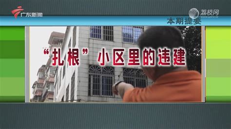 2023 04 28 新闻故事：团·年 荔枝网