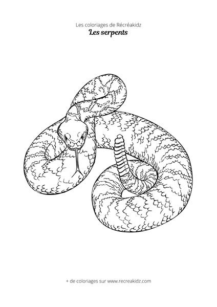 Coloriage Serpent Python Dessin à Colorier And Imprimer En Pdf