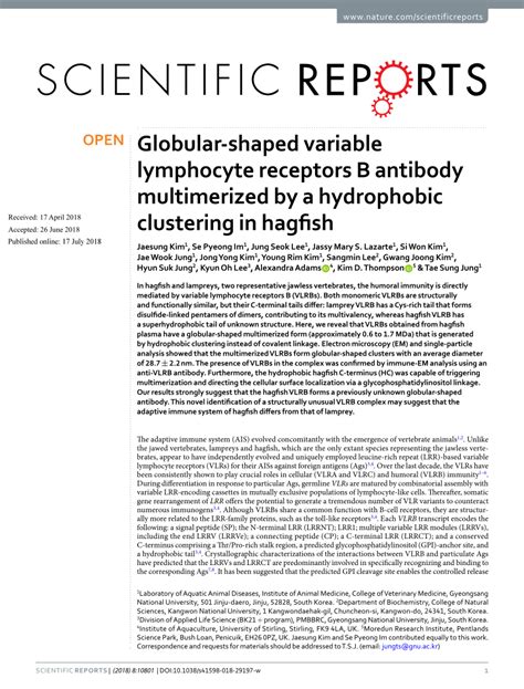 Pdf Globular Shaped Variable Lymphocyte Receptors B Antibody Multimerized By A Hydrophobic