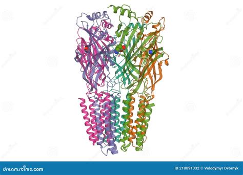 Structure Of The Alpha1beta1gamma2s Tri Heteromeric Gabaa Receptor In