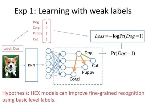 Ppt Large Scale Object Recognition Using Label Relation Graphs Powerpoint Presentation Id