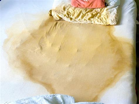 I Pee Two Weeks In My Bed Because I Am Lazy Girl Omorashi Experiences Omorashi