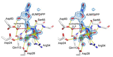 Plos Pymol Wiki