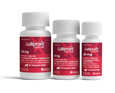 Galliprant Tablets For Dogs Effective Pain Management Cura