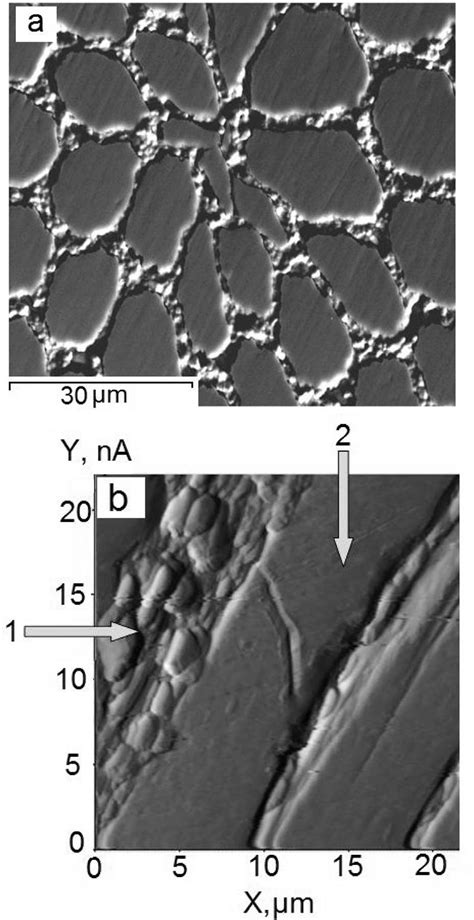 A Plastic Deformation Localized In The Intermediate Layer Of Nb Ti