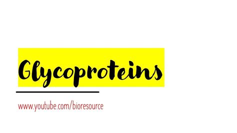 Glycoproteins Introduction To Glycoproteins And Their Functions And
