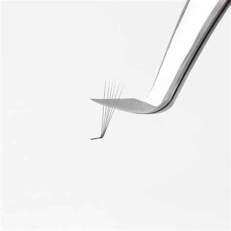 Wet Set Lashes Vs Classic Lashes Whats The Difference