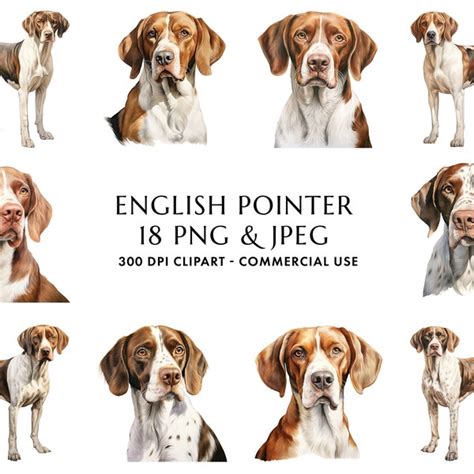 English Pointer Art Etsy