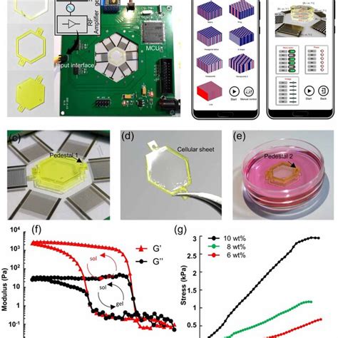 Digital Acoustic Assembly Platform And Cellular Construct Formation