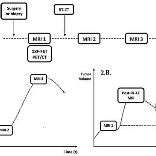 Simplified Schematic Representation Of Comparison Of Tumor Volumes On